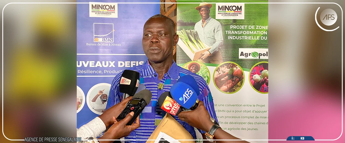 Agropole Sud : cinq entreprises agricoles bénéficient de l’accompagnement du Bureau de mise à ...